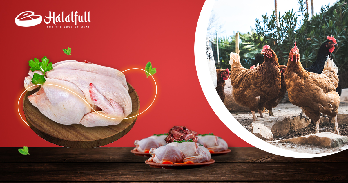 Halalfull - Fresh Poultry - Buy Halal Chicken Online USA | Halalfull